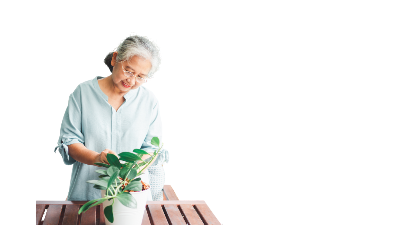 menopause-pelvic-women-health | Vibrance